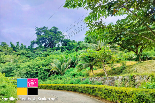 For Sale Prime Overlooking Lot in Bon-Bon Busay Cebu City | PostAds.ph